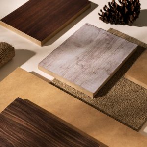 What is Softwood? | Guide to Softwood